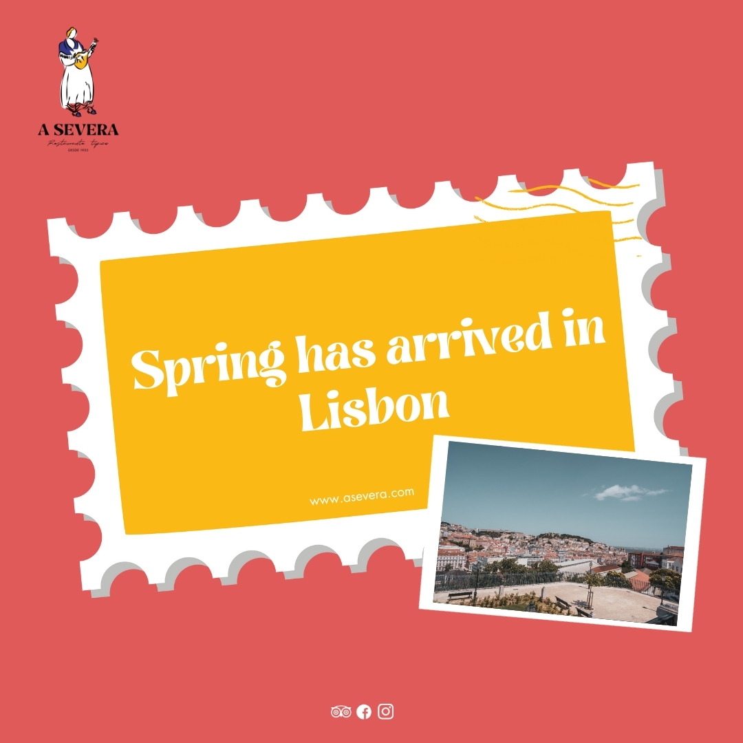 Spring has arrived in Lisbon | A Severa
